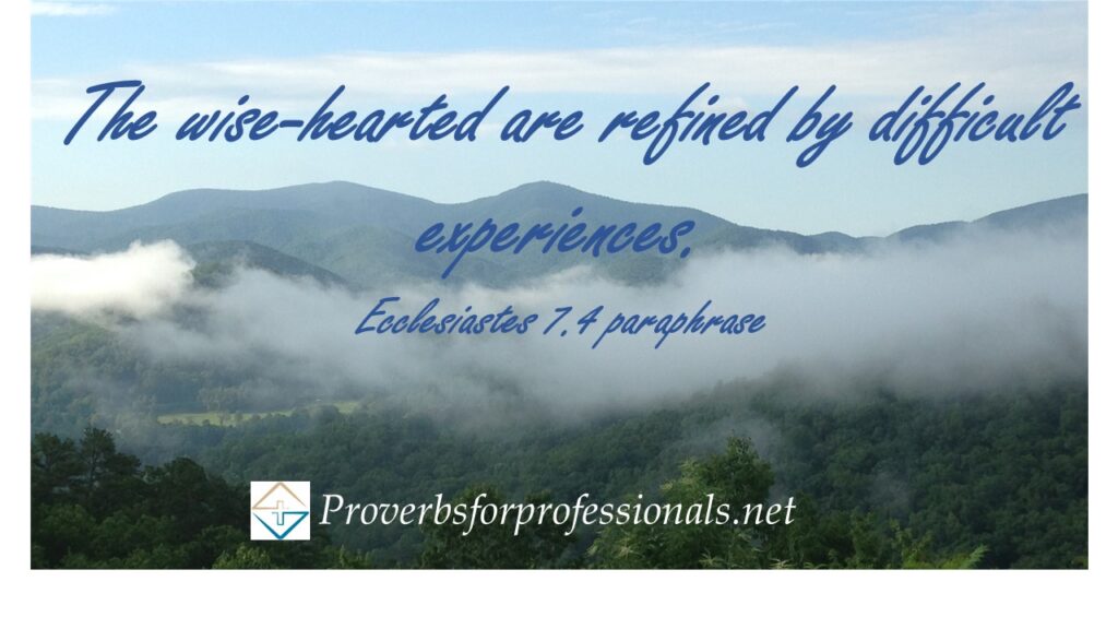 Character Building is Hard Work - Proverbs for Professionals