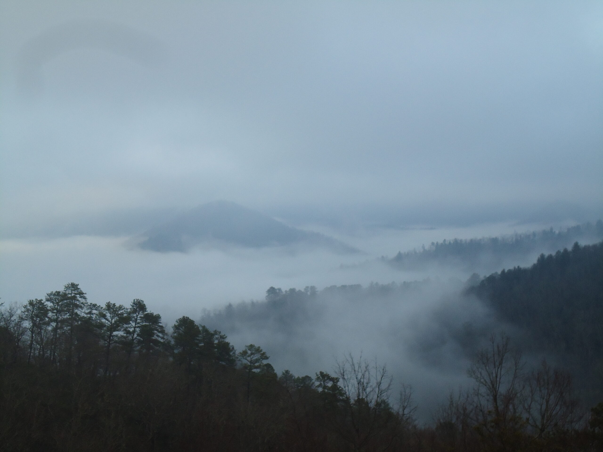 Don't Live In a Fog! - Proverbs for Professionals